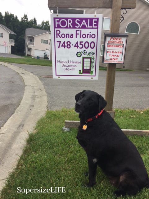 House for Sale - Supersize Life