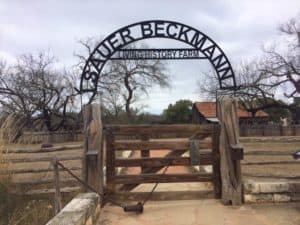Adventures in Fredericksburg - Supersize Life